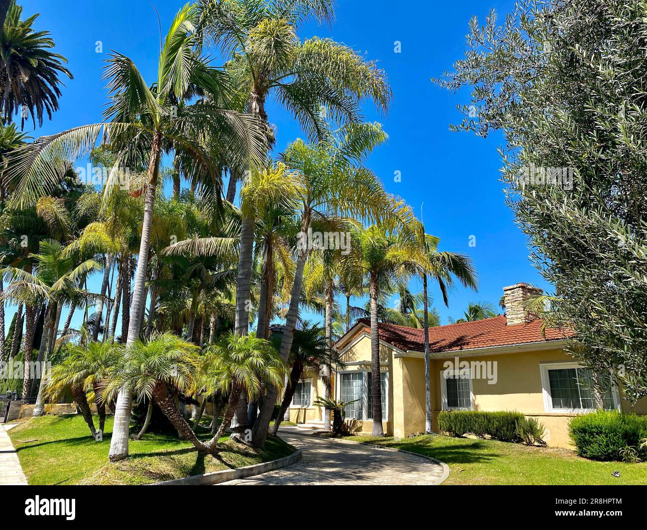 This apartment complex has a well-manicured driveway lined with lush ...