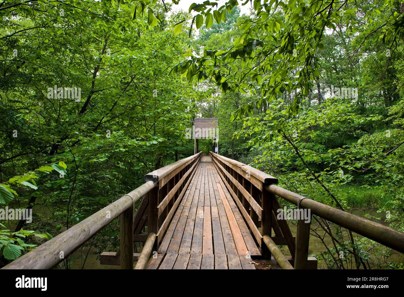 la Fagiana' Natural Reserve. Ticino Park. Pontevecchio Di Magenta ...