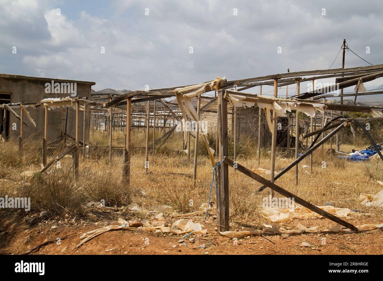 Dilapidated greenhouse: only the skeleton is still standing Stock Photo ...