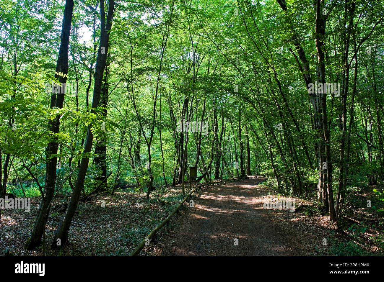 la Fagiana' Natural Reserve. Ticino Park. Pontevecchio Di Magenta ...