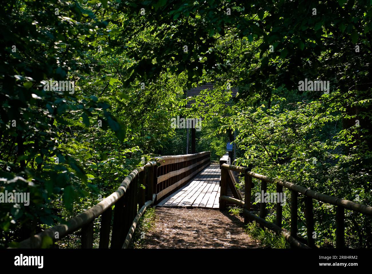 la Fagiana' Natural Reserve. Ticino Park. Pontevecchio Di Magenta ...
