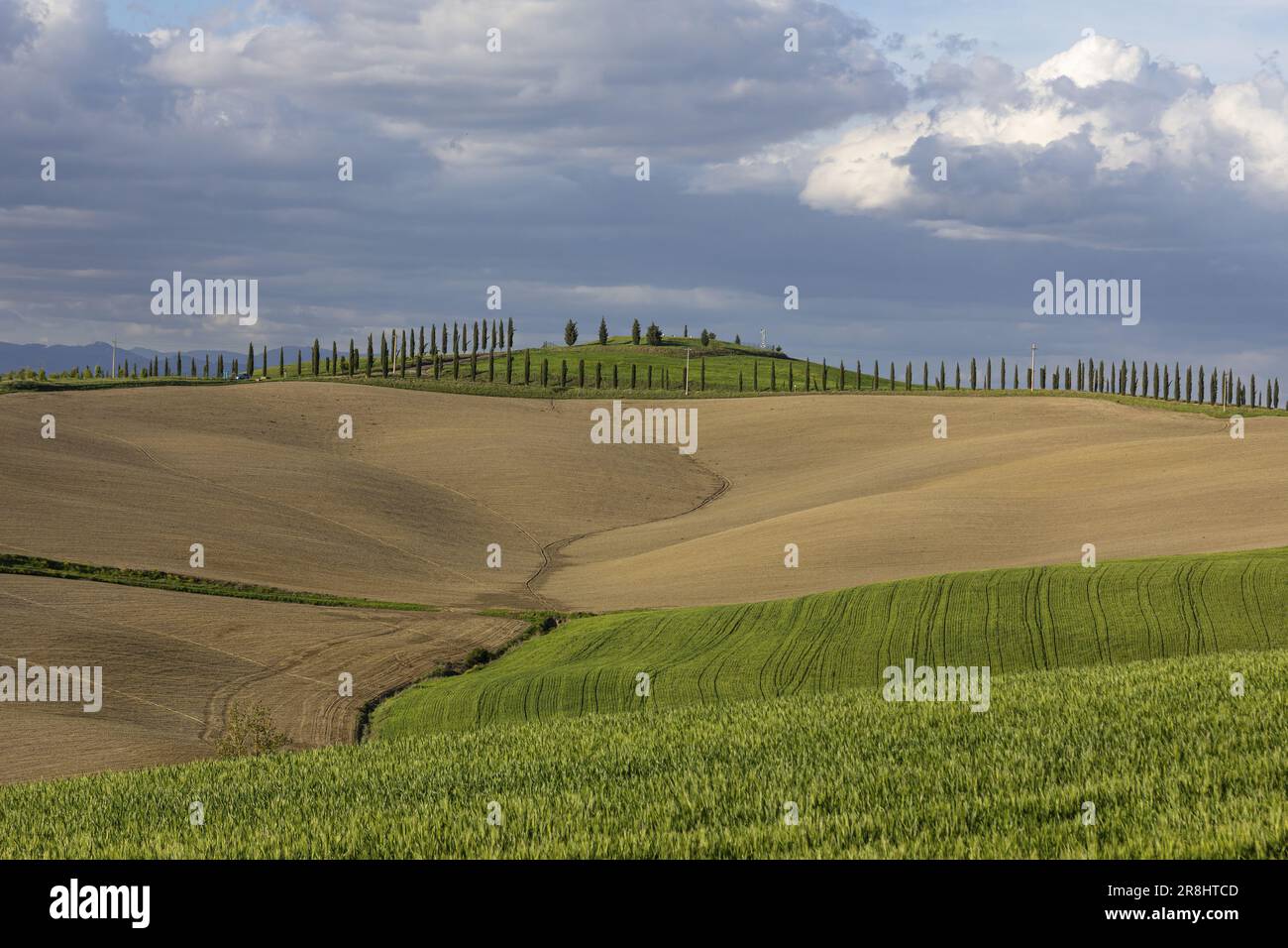 Tuscany crete senesi rural hi-res stock photography and images - Alamy