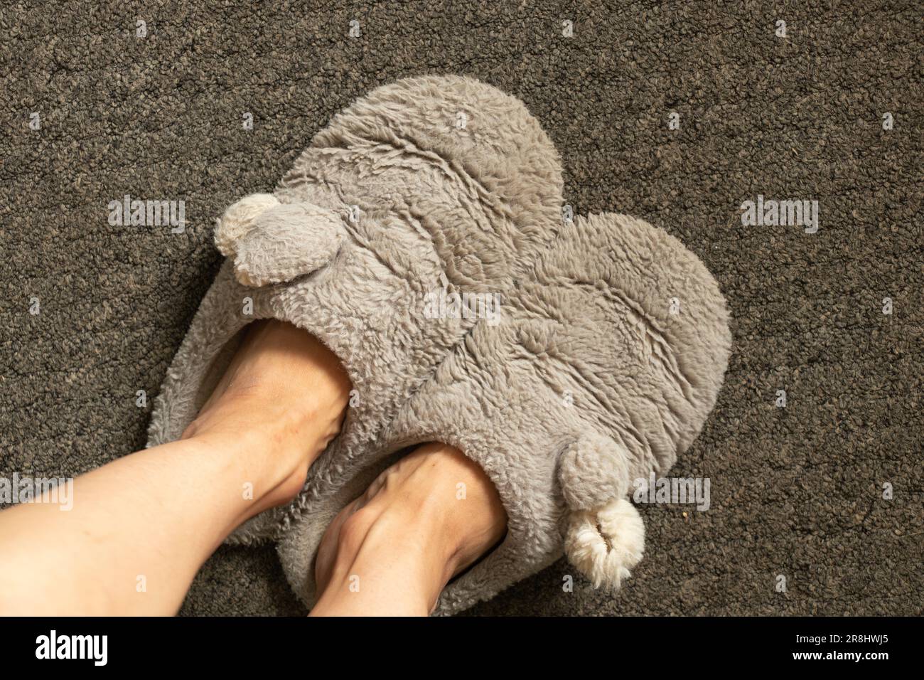 Carpet slippers hi-res stock photography and images - Alamy