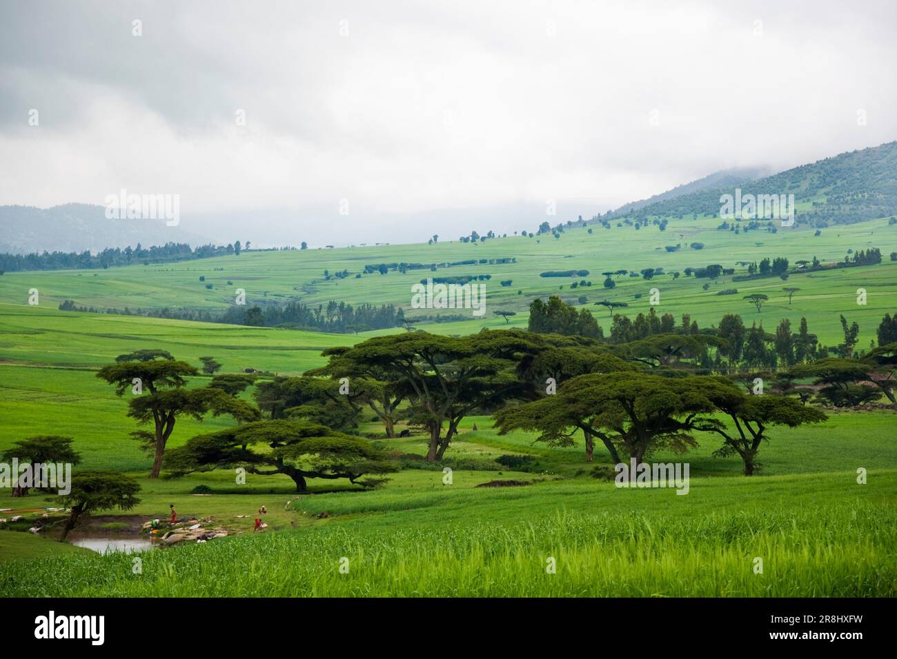 Landscape. Bale Plateau. Ethiopia Stock Photo - Alamy