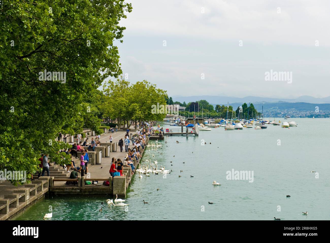 Zurich Lake. Zurich. Switzerland Stock Photo - Alamy