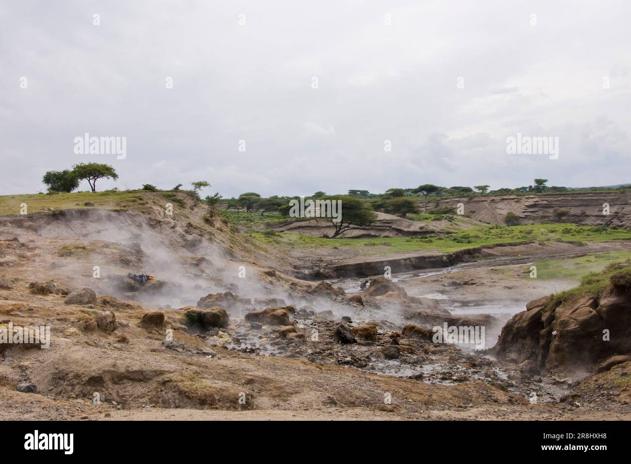 Hot Springs. Ziway Park. Ethiopia Stock Photo - Alamy