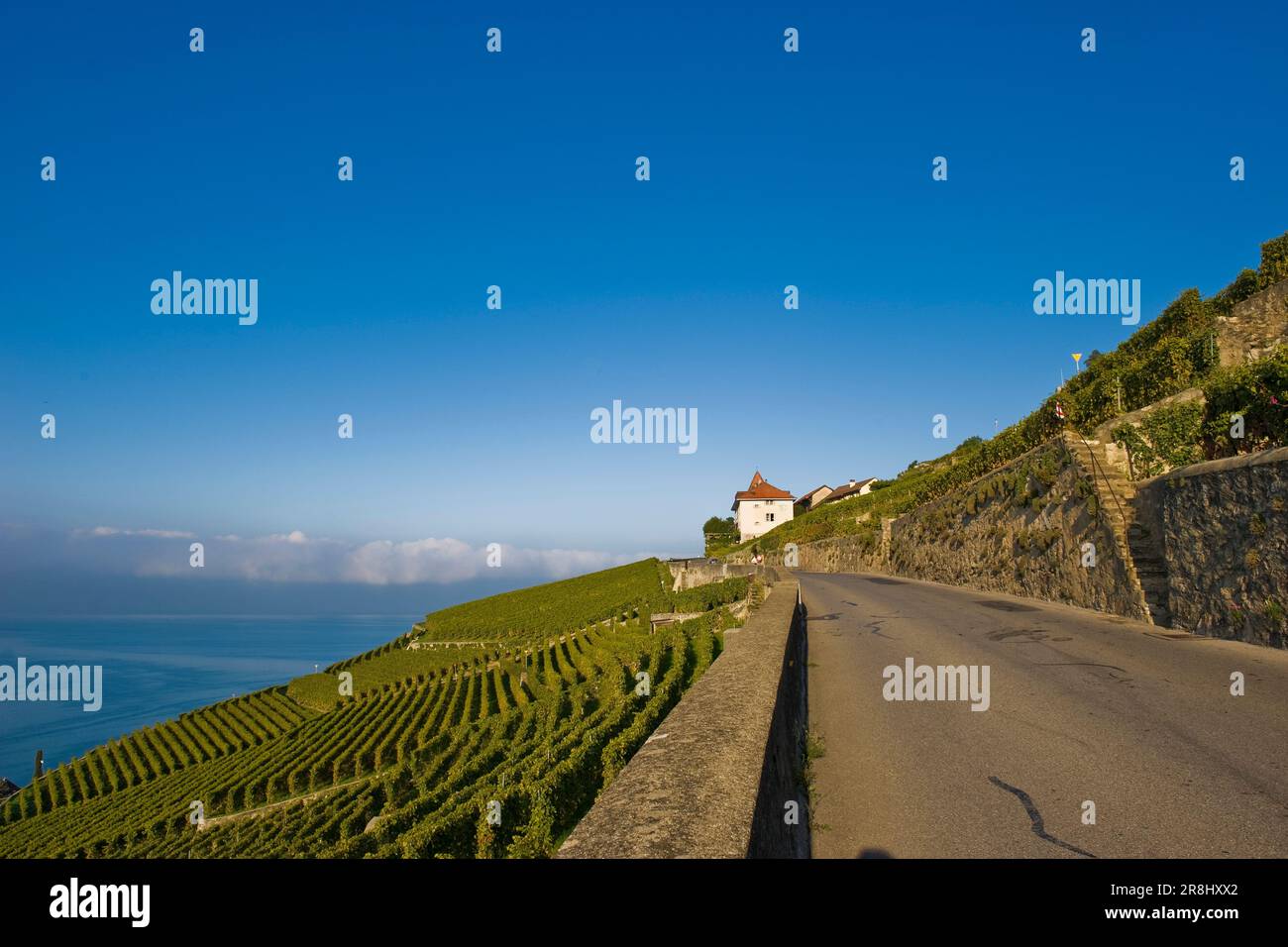 Lavaux Vineyards. Unesco. Switzerland Stock Photo - Alamy