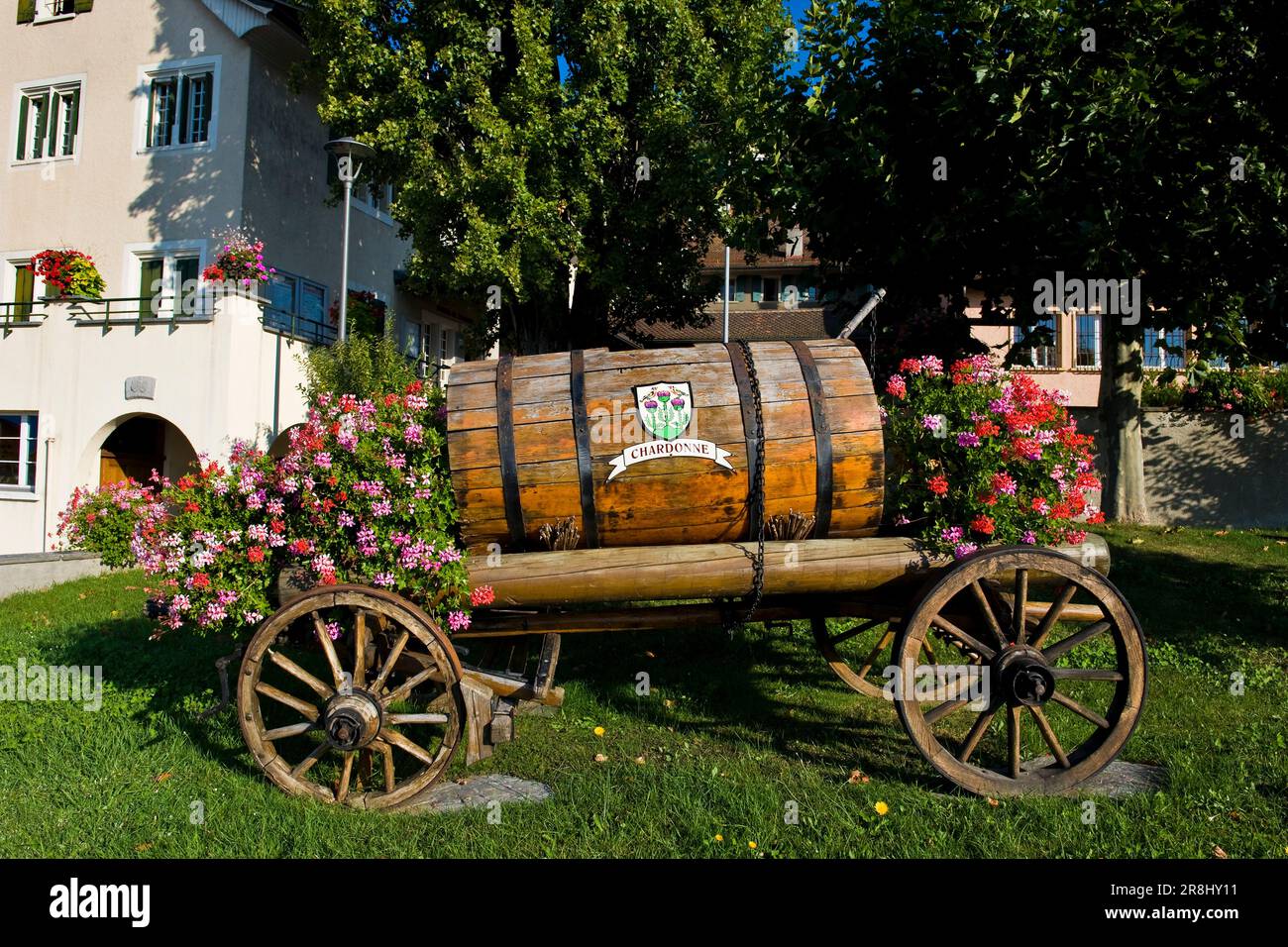 Wine Cellar. Chardonne. Lavaux Vineyards. Unesco. Switzerland Stock ...