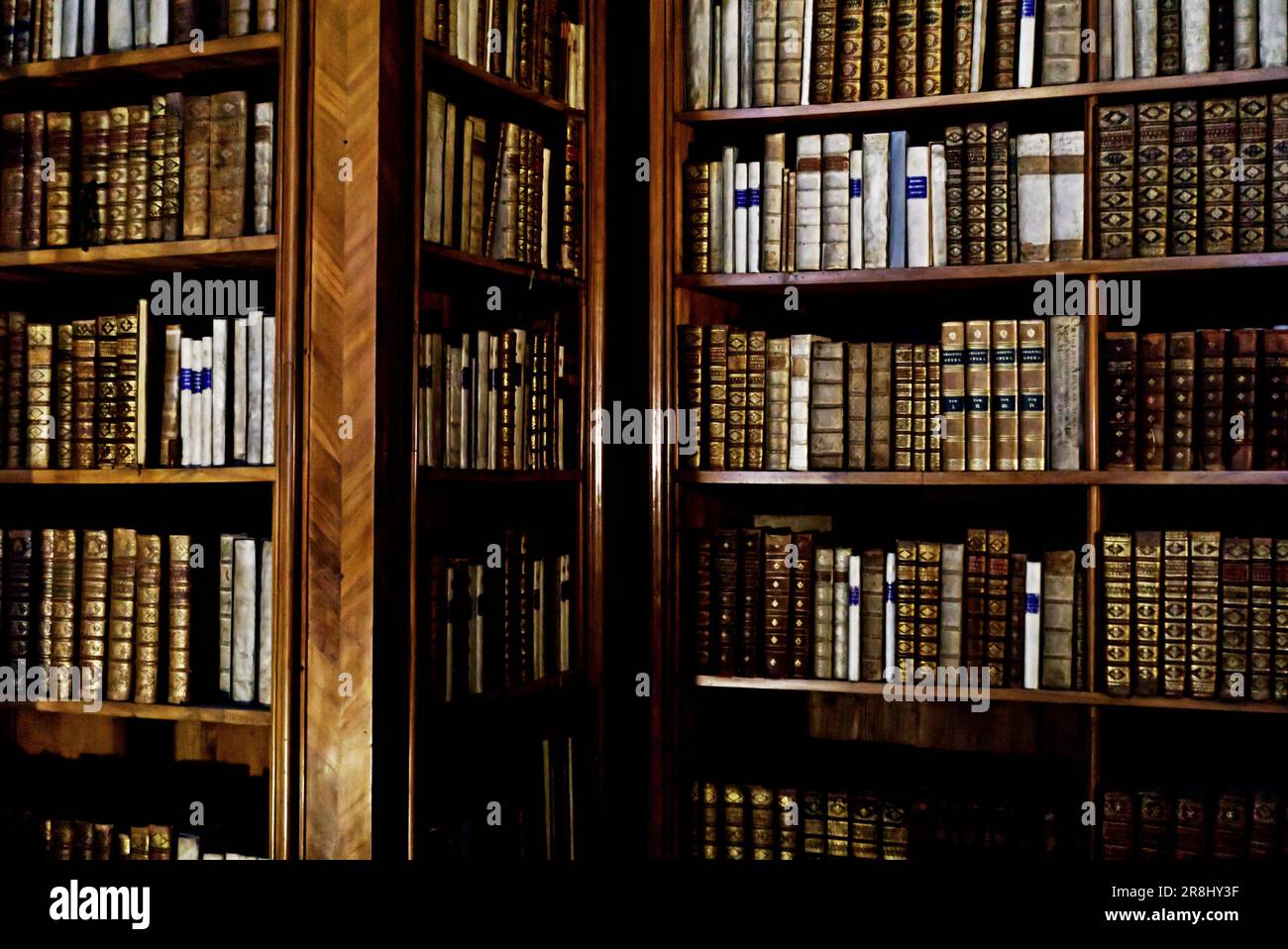 Books of national library in vienna Stock Photo - Alamy