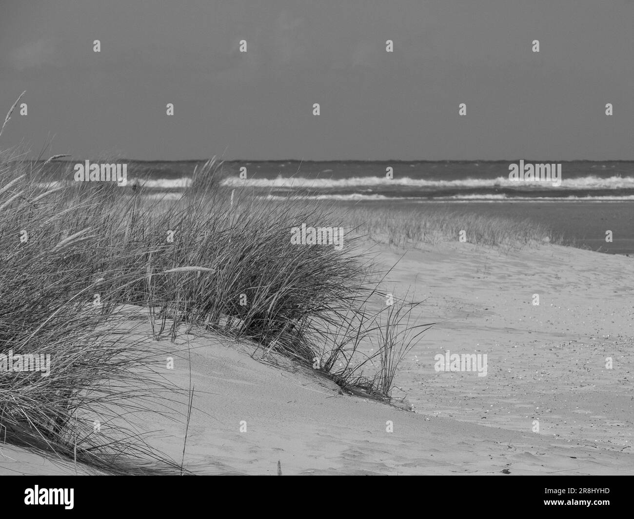 the beach of Spiekeroog Stock Photo - Alamy