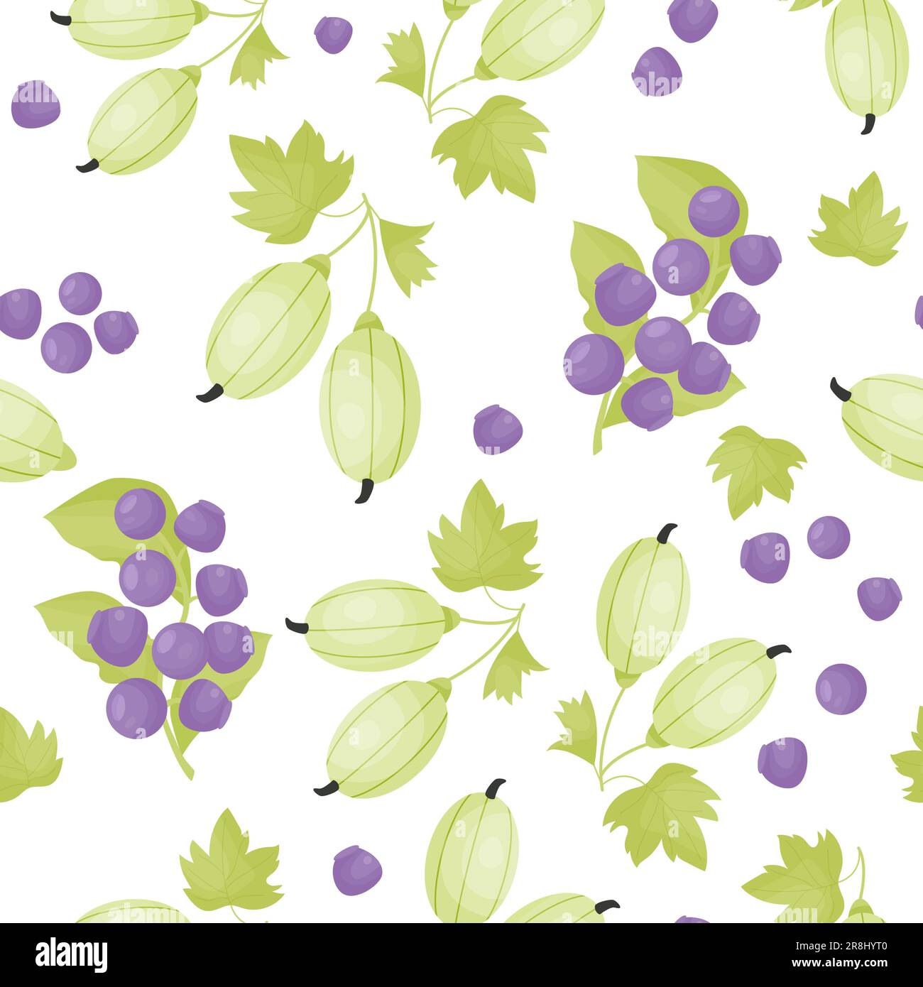 Summer berry seamless pattern. Blueberries and green gooseberries on white background. Vector ...