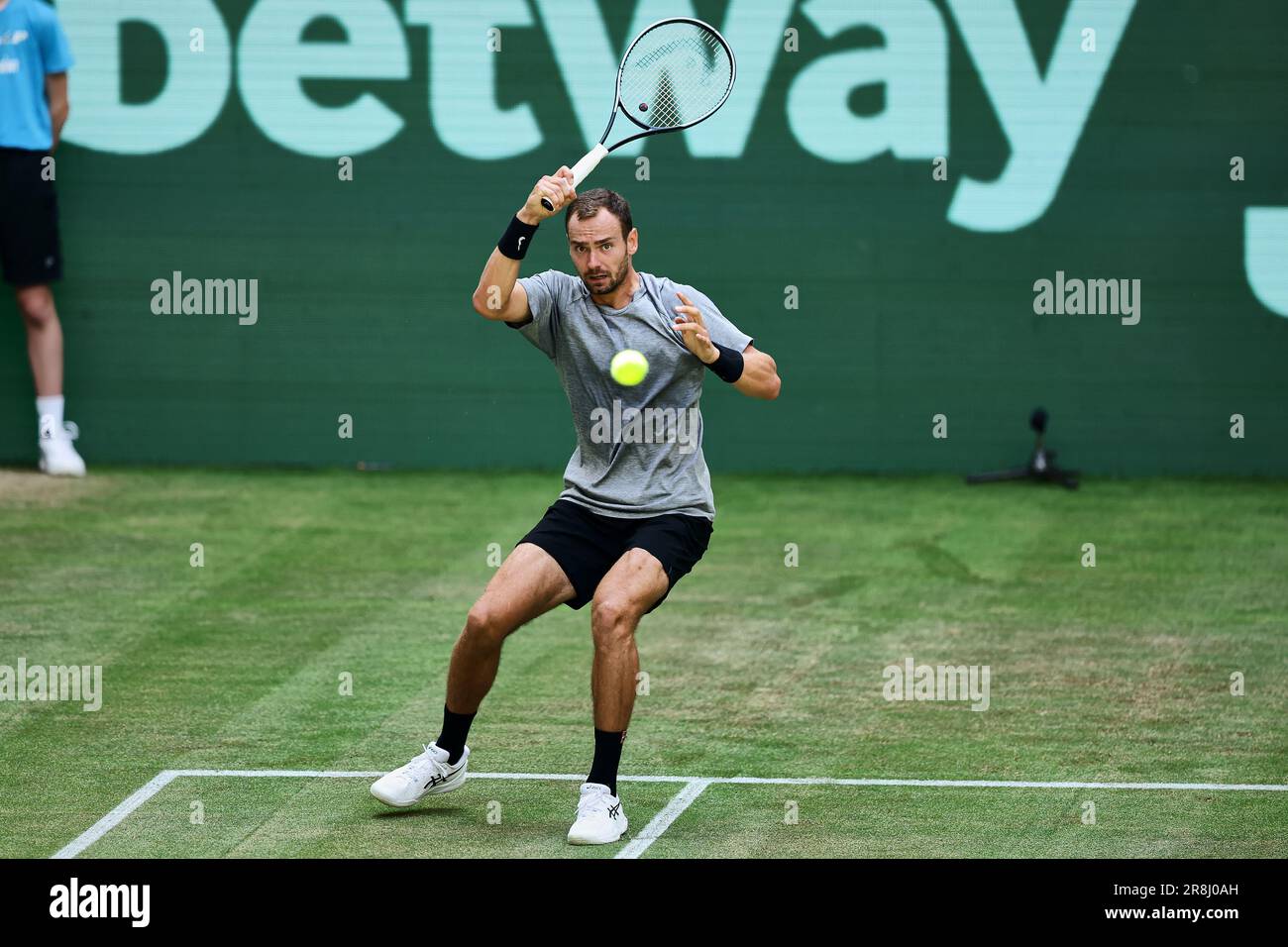 2023 0020 jpg hi-res stock photography and images - Alamy