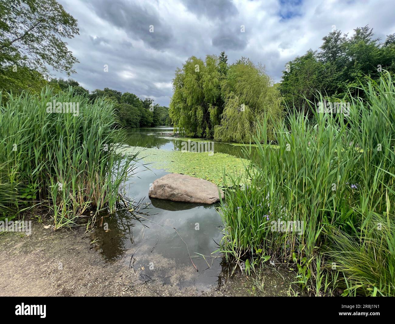 Natural scene at LeFrak Center. at Lakeside in Prospect Park, Brooklyn ...