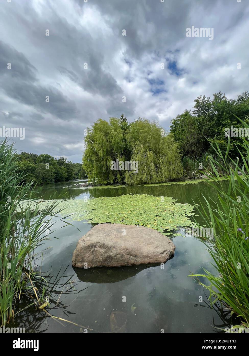 Natural scene at LeFrak Center. at Lakeside in Prospect Park, Brooklyn ...