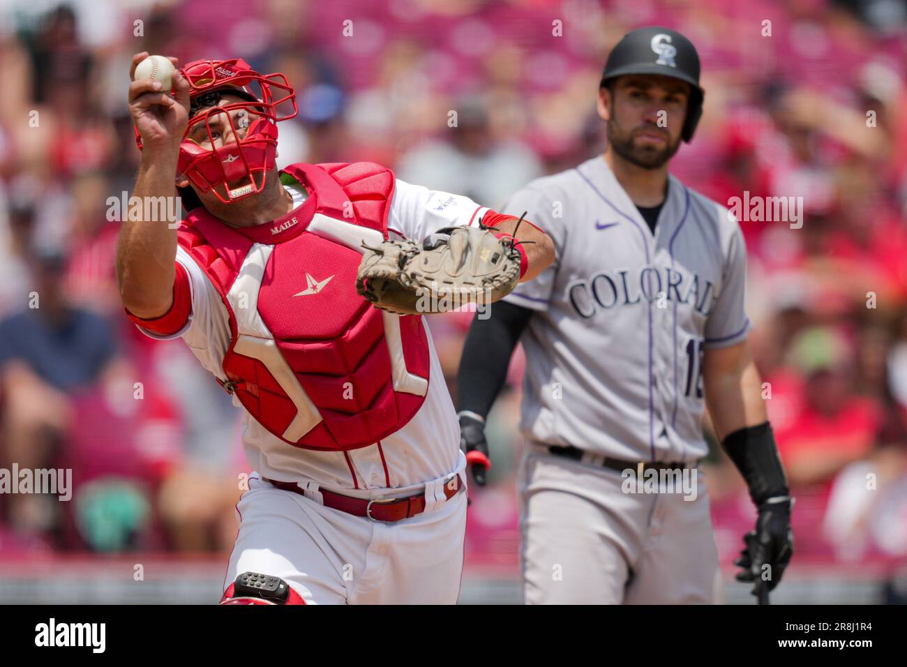 Cincinnati Reds' catcher Luke Maile catches a pop up for an out on a ...