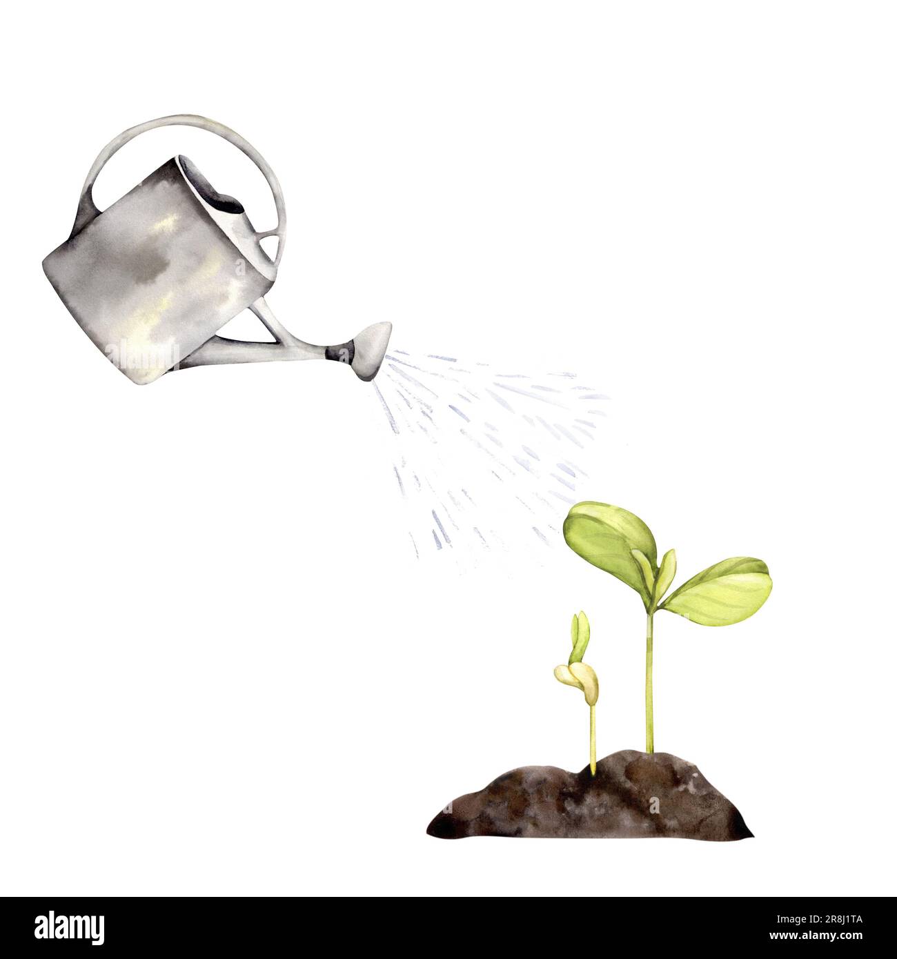 watering can sprout soil Stock Photo - Alamy