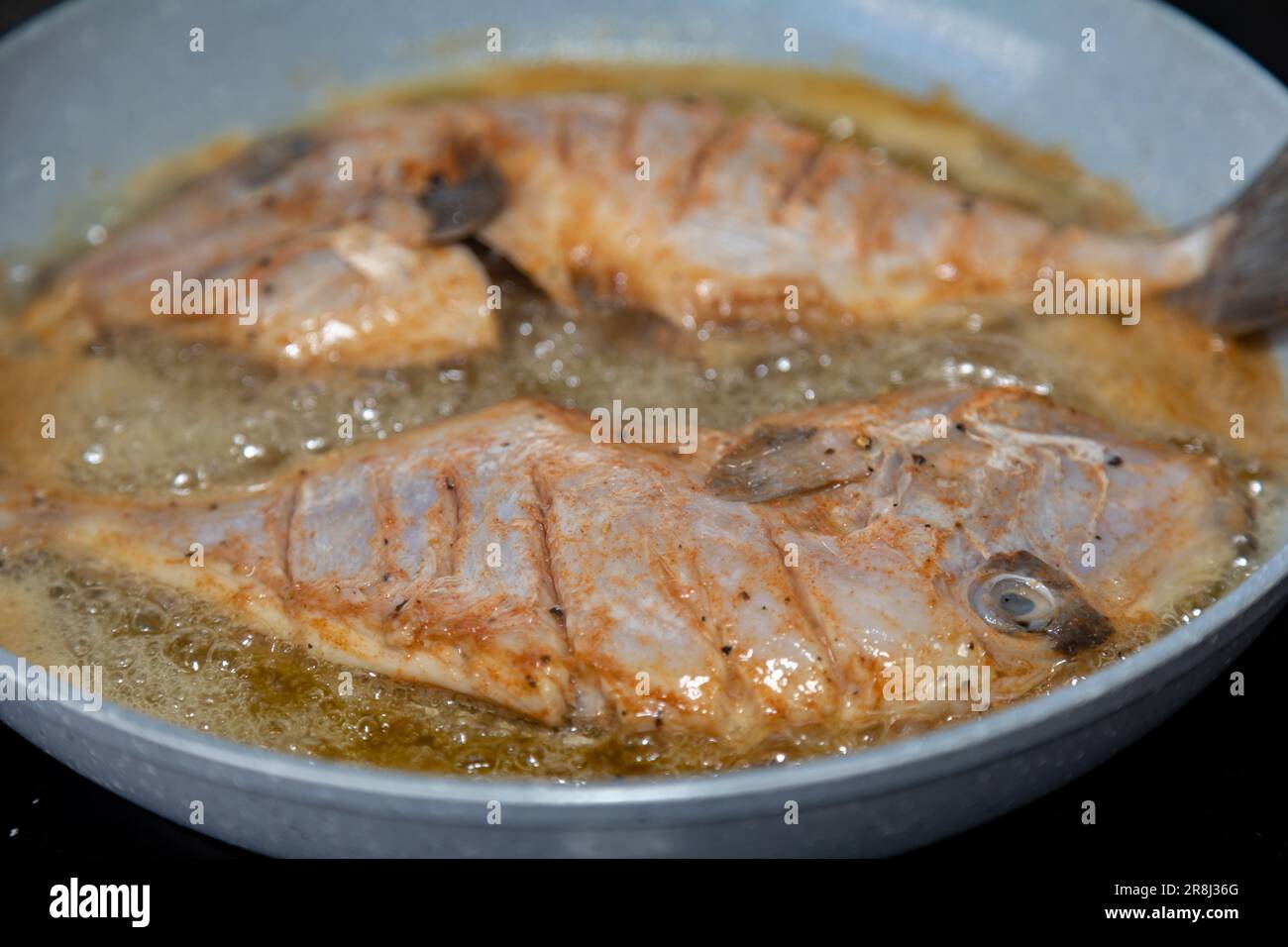 Clean and seasoned Peroá fish (Balistes capriscus) . Typical fish from ...
