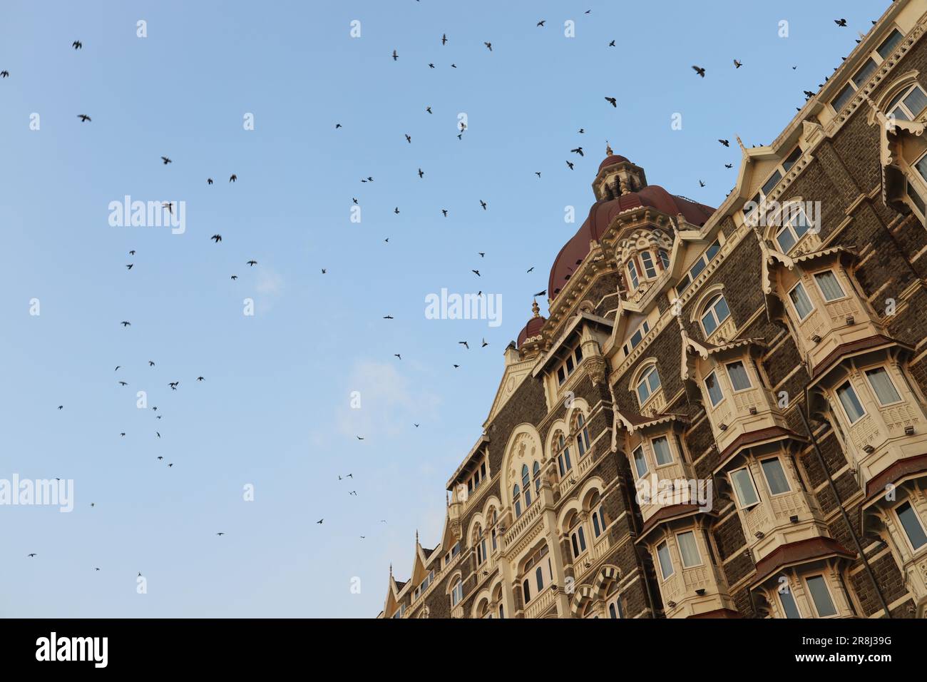 Dharavi mumbai skyline hi-res stock photography and images - Alamy