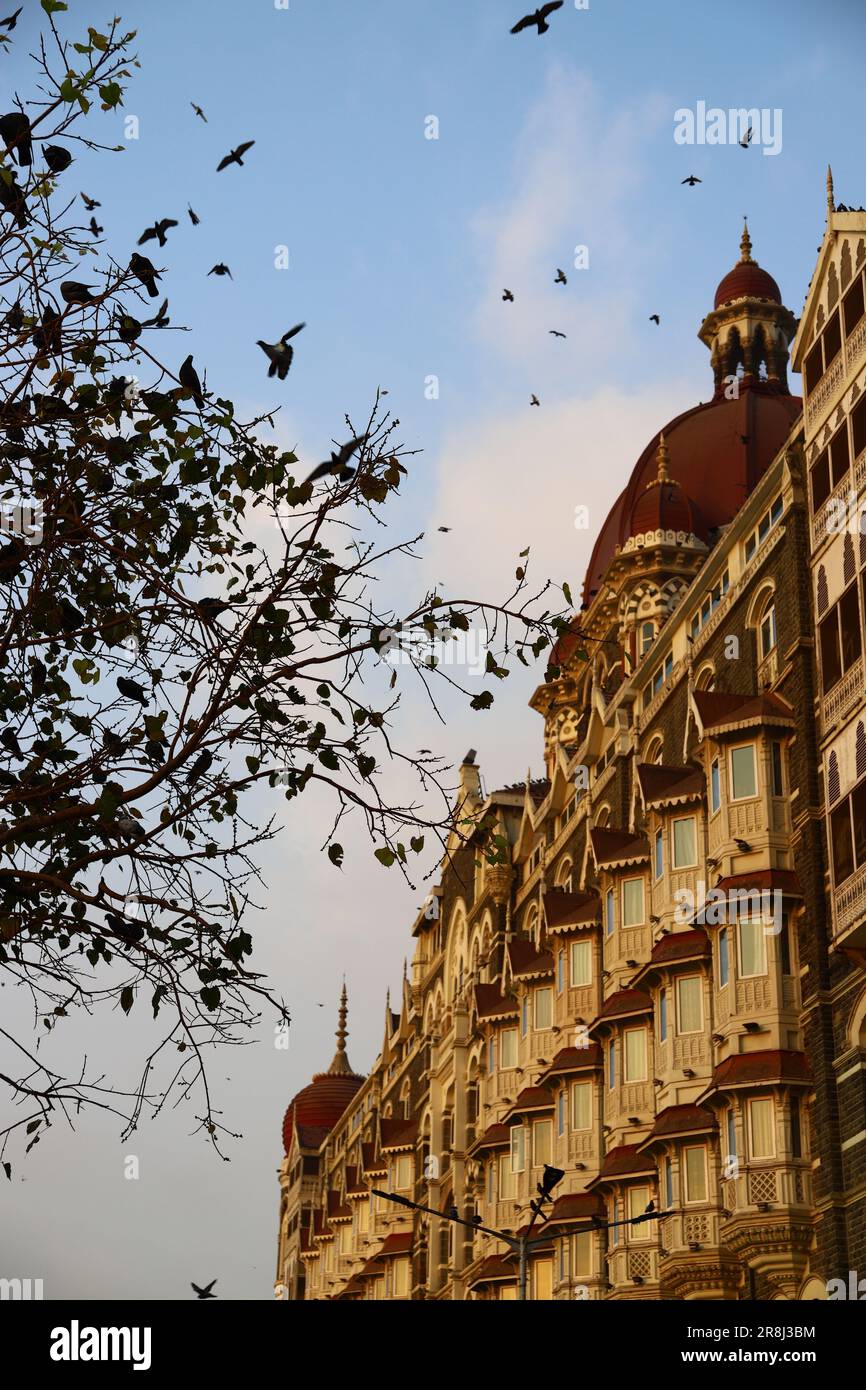 Dharavi mumbai skyline hi-res stock photography and images - Alamy