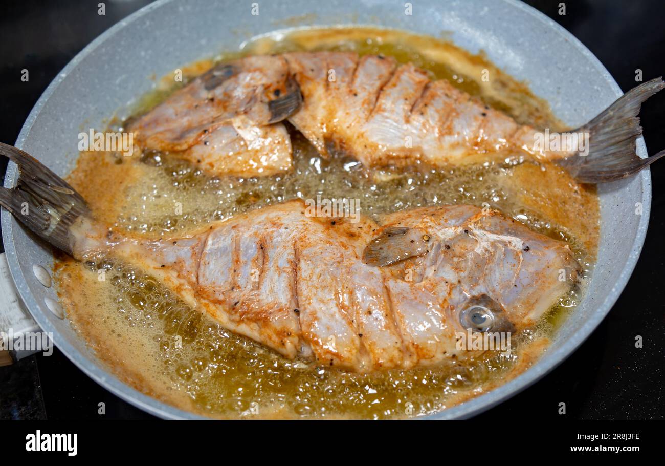 Clean and seasoned Peroá fish (Balistes capriscus) . Typical fish from ...