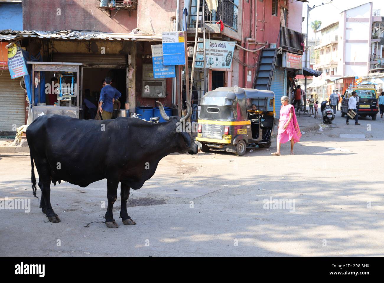 Dharavi mumbai skyline hi-res stock photography and images - Alamy