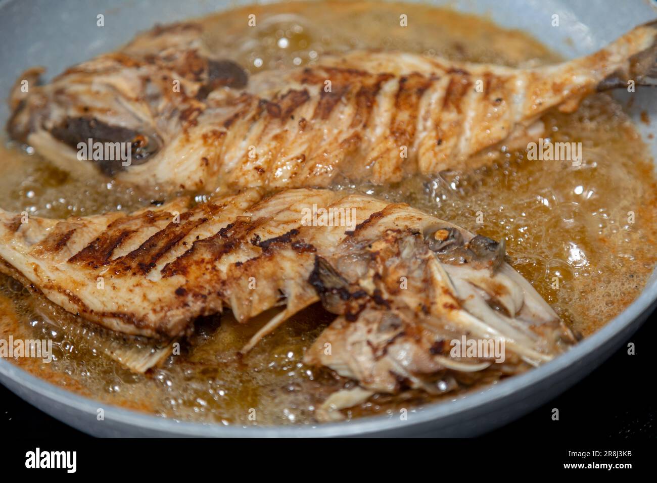 Clean and seasoned Peroá fish (Balistes capriscus) . Typical fish from ...