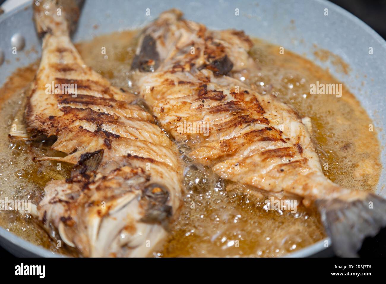 Clean and seasoned Peroá fish (Balistes capriscus) . Typical fish from ...