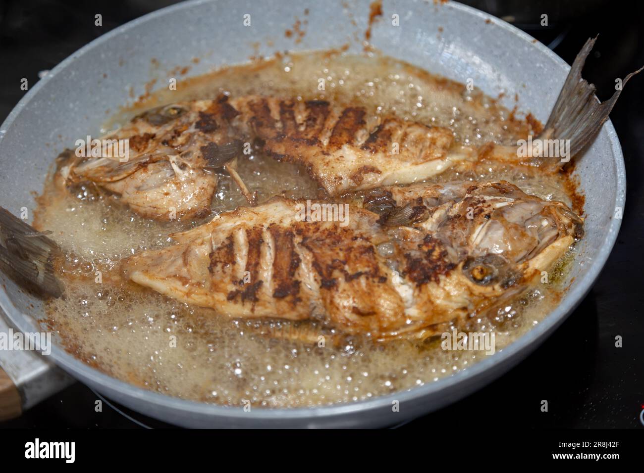 Clean and seasoned Peroá fish (Balistes capriscus) . Typical fish from ...