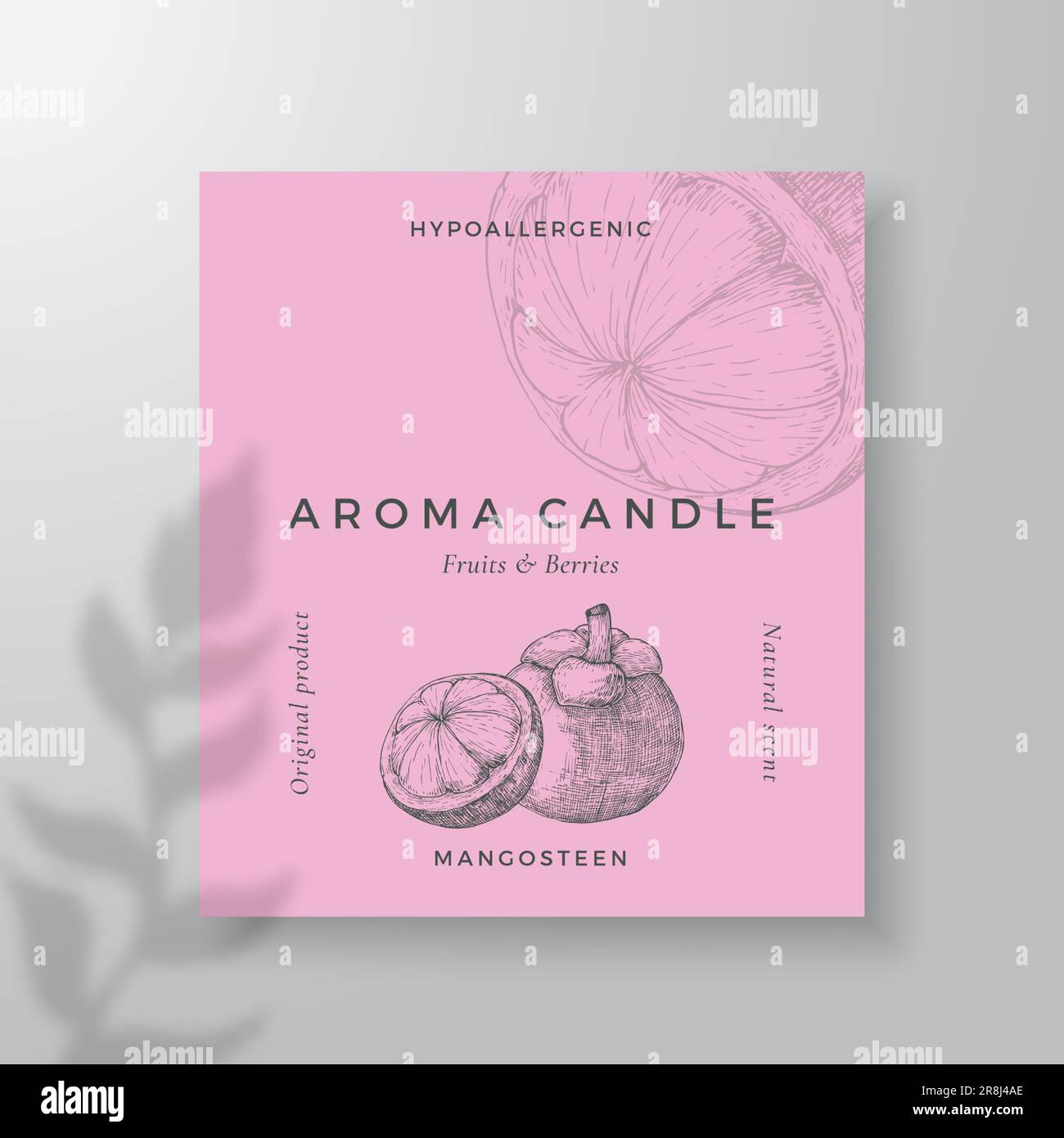 Aroma candle vector label template Mangosteen scent from local ...