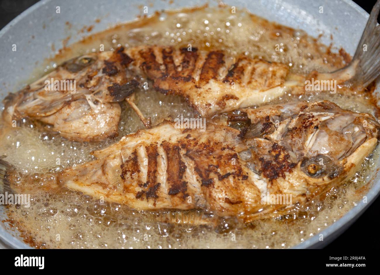 Clean and seasoned Peroá fish (Balistes capriscus) . Typical fish from ...