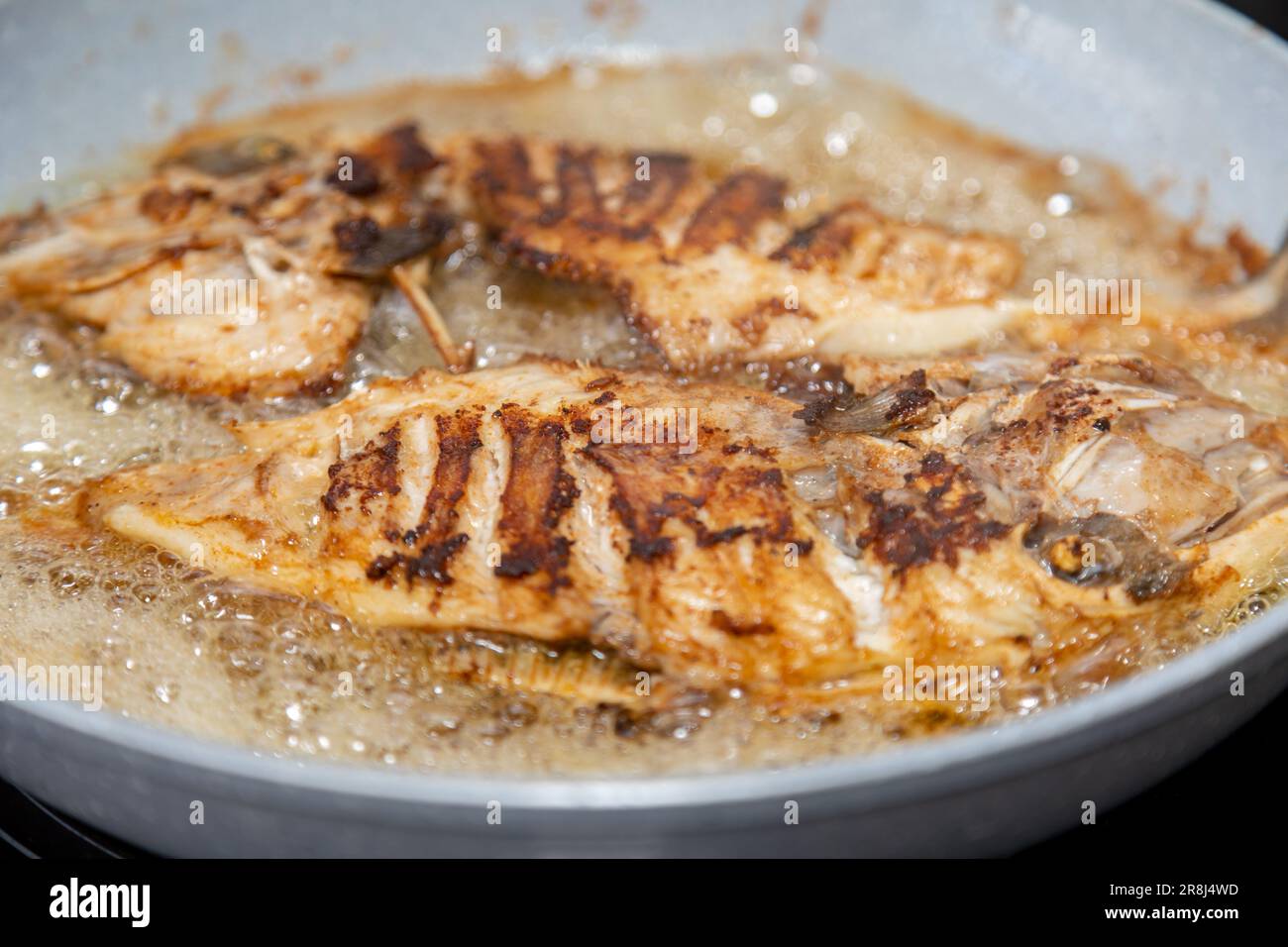 Clean and seasoned Peroá fish (Balistes capriscus) . Typical fish from ...