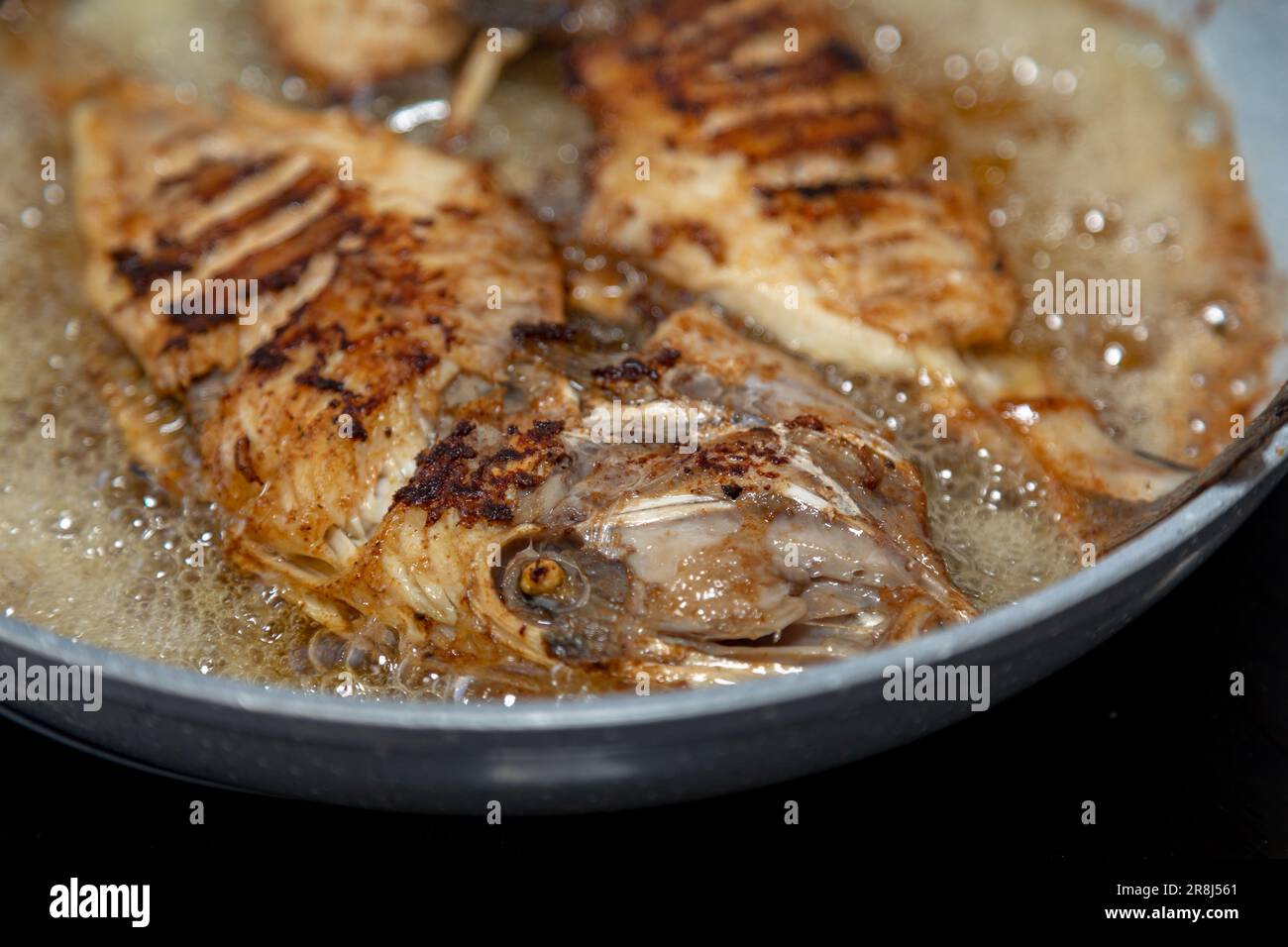Clean and seasoned Peroá fish (Balistes capriscus) . Typical fish from ...
