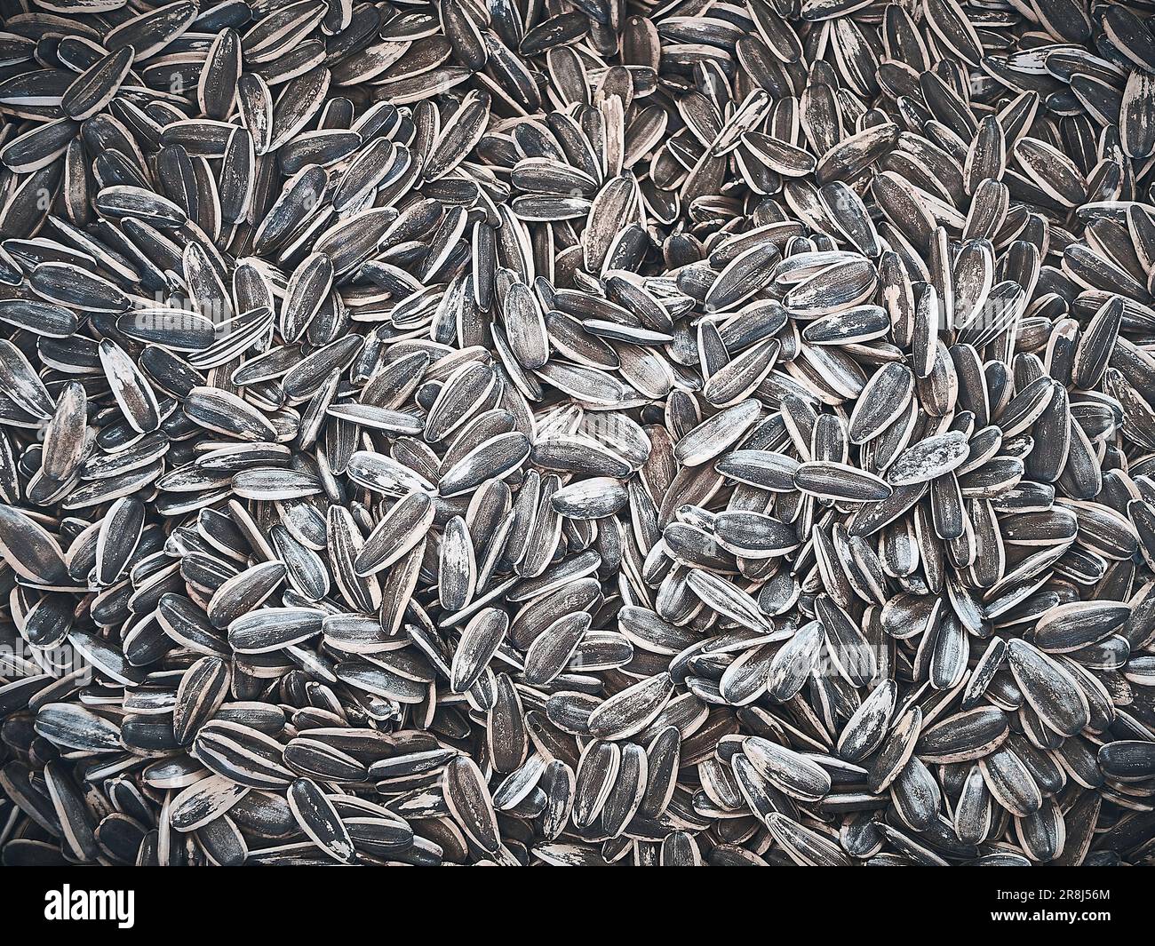 Ripe sunflower seeds as a background Stock Photo - Alamy