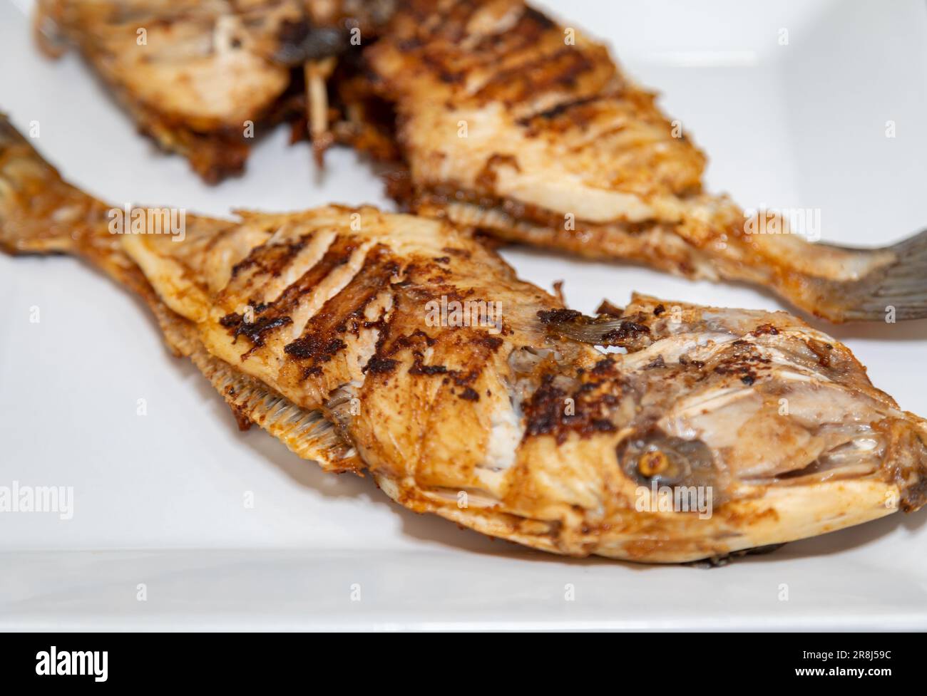 Clean and seasoned Peroá fish (Balistes capriscus) . Typical fish from ...