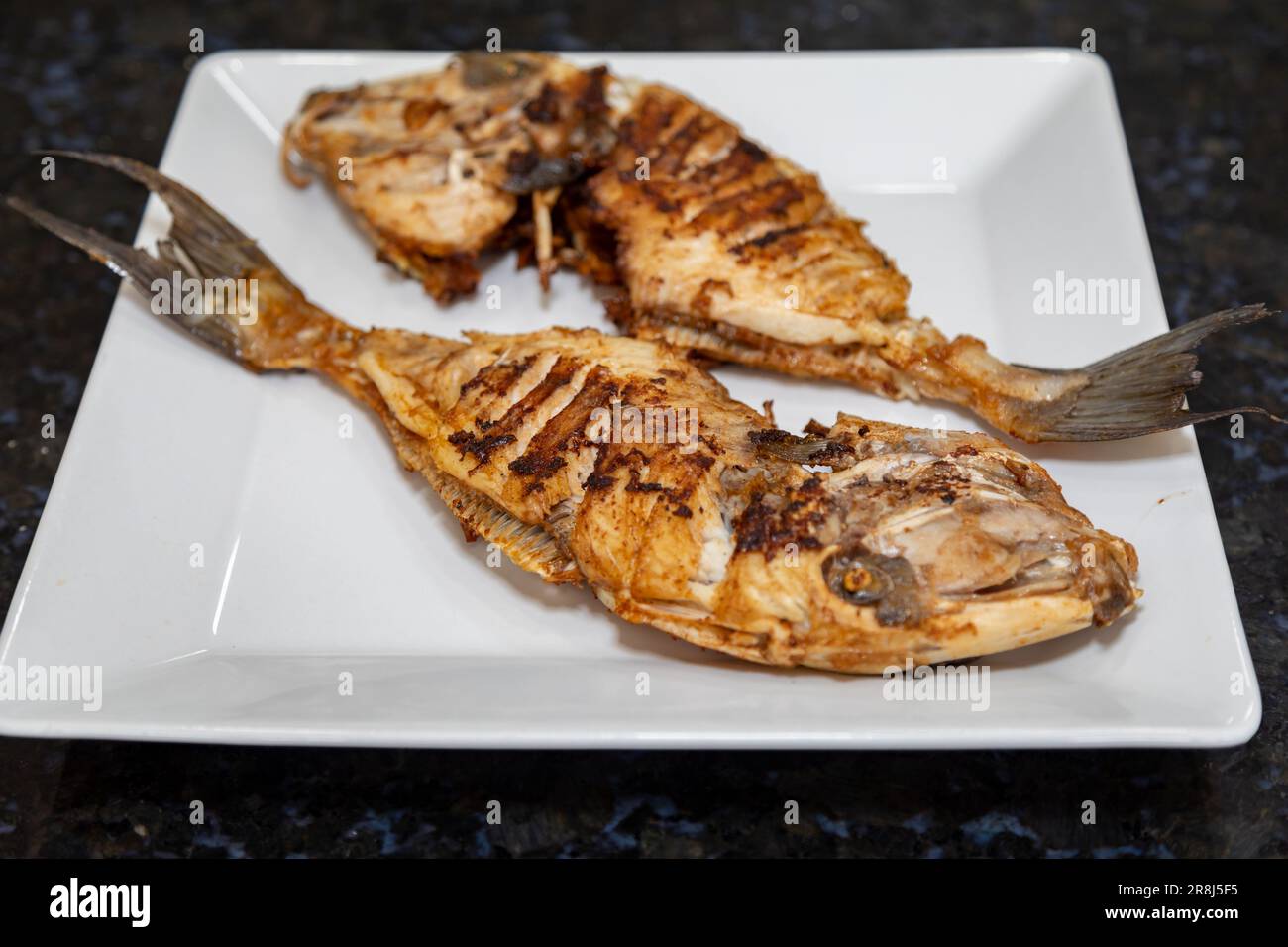 Clean and seasoned Peroá fish (Balistes capriscus) . Typical fish from ...