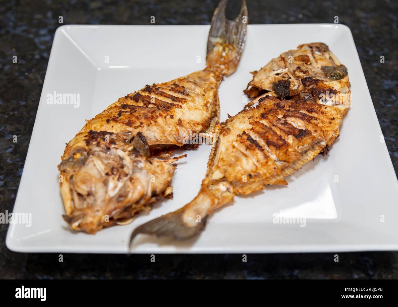 Clean and seasoned Peroá fish (Balistes capriscus) . Typical fish from ...