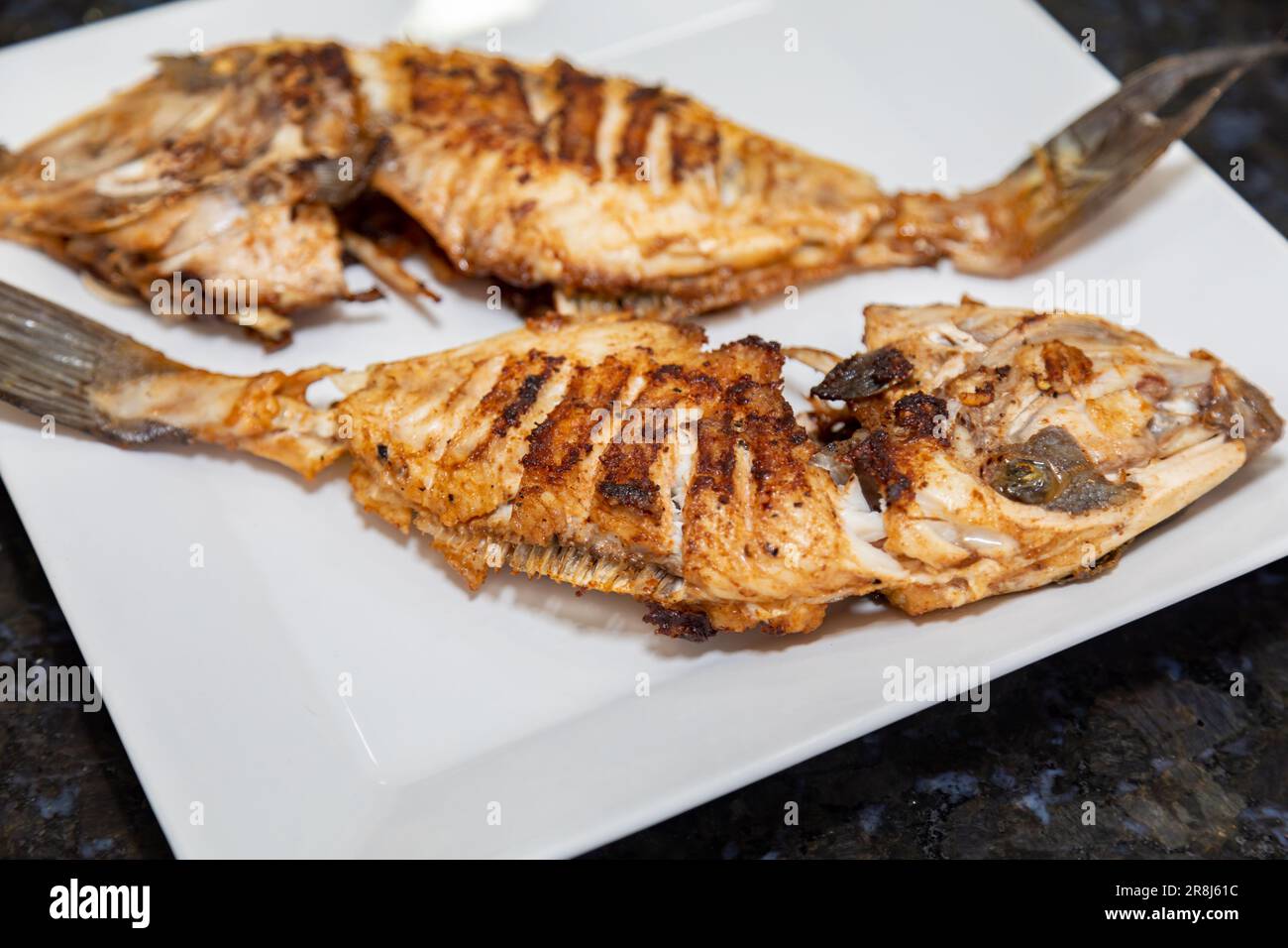 Clean and seasoned Peroá fish (Balistes capriscus) . Typical fish from ...