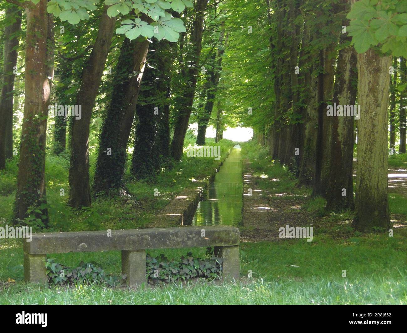 Capture the essence of Paris through a collection of stunning ...