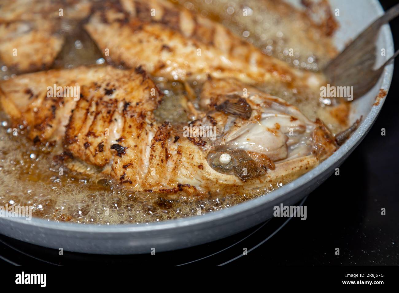 Clean and seasoned Peroá fish (Balistes capriscus) . Typical fish from ...