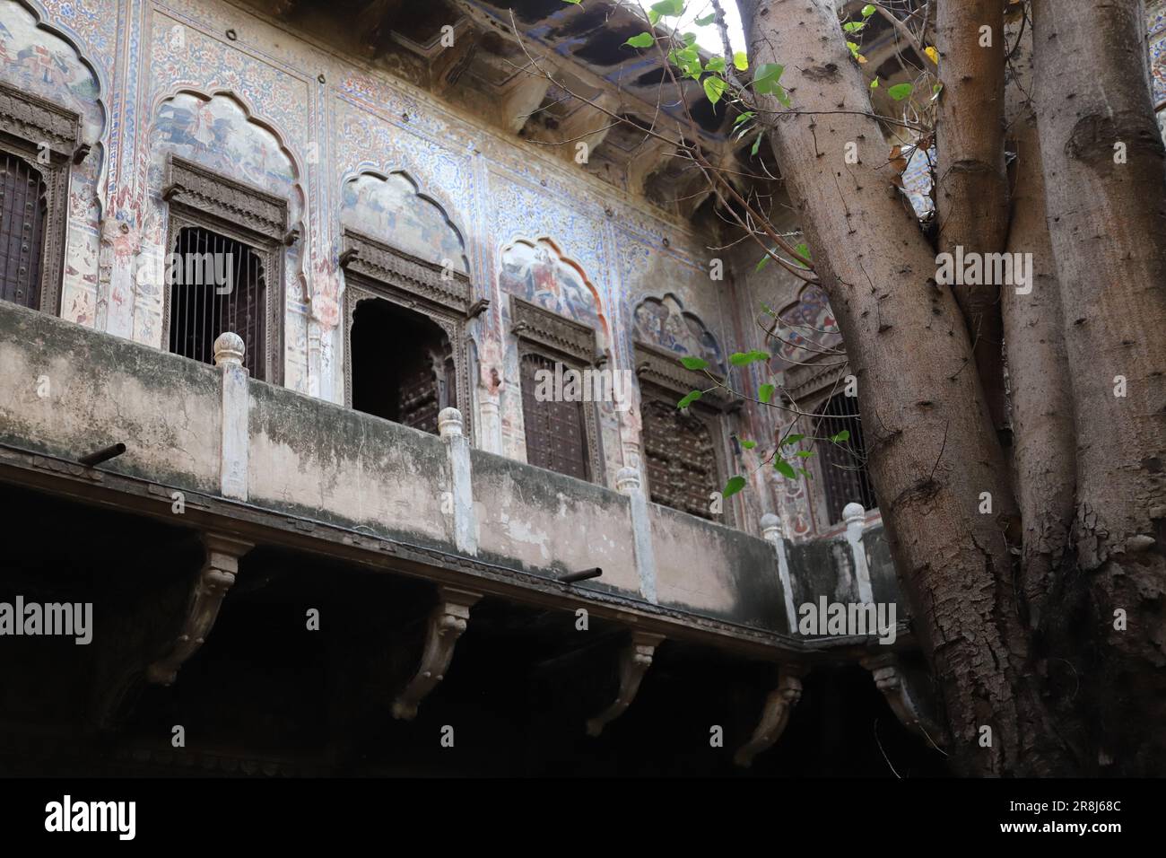 Rats shrine mandawa hi-res stock photography and images - Alamy