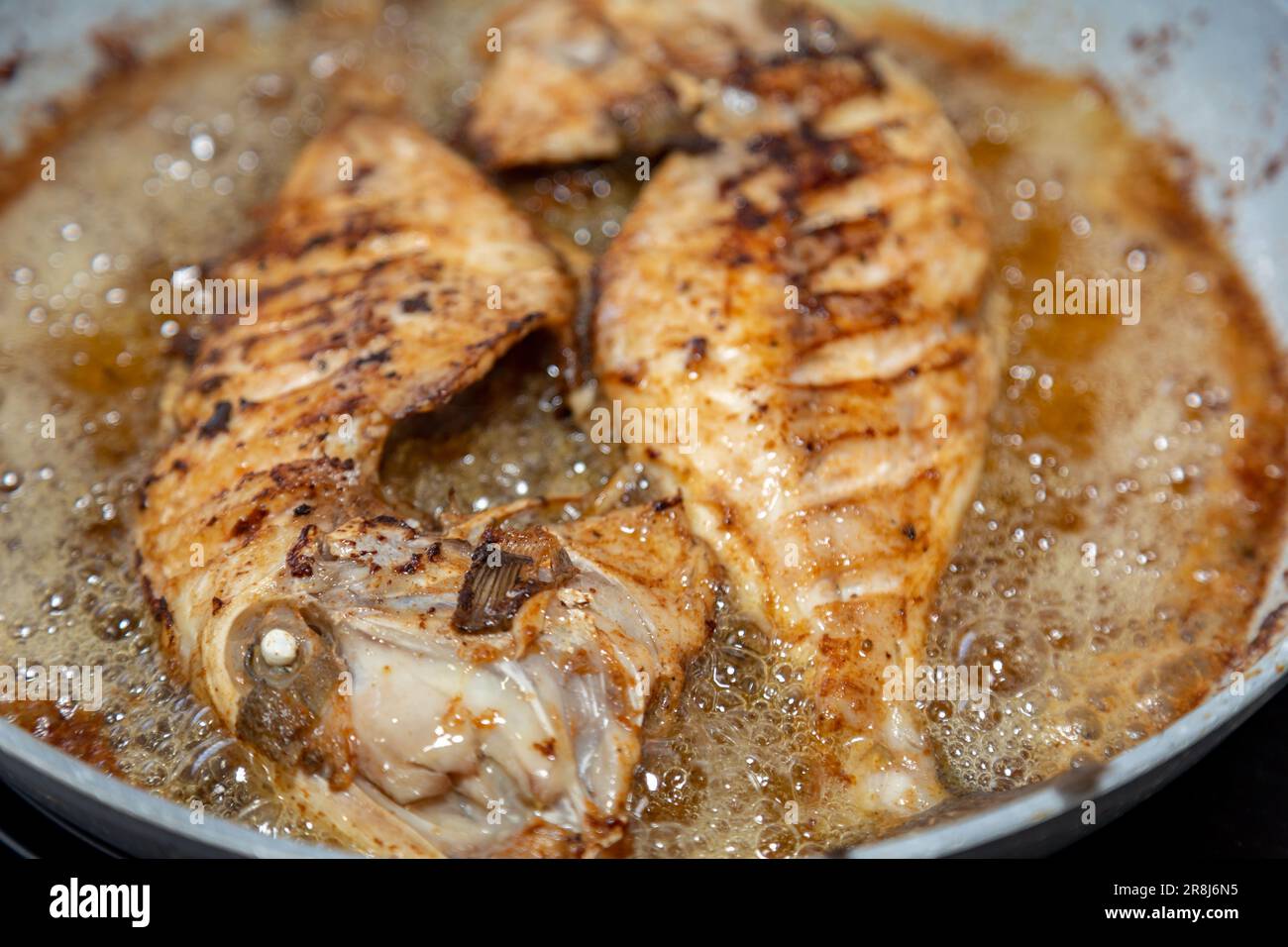 Clean and seasoned Peroá fish (Balistes capriscus) . Typical fish from ...