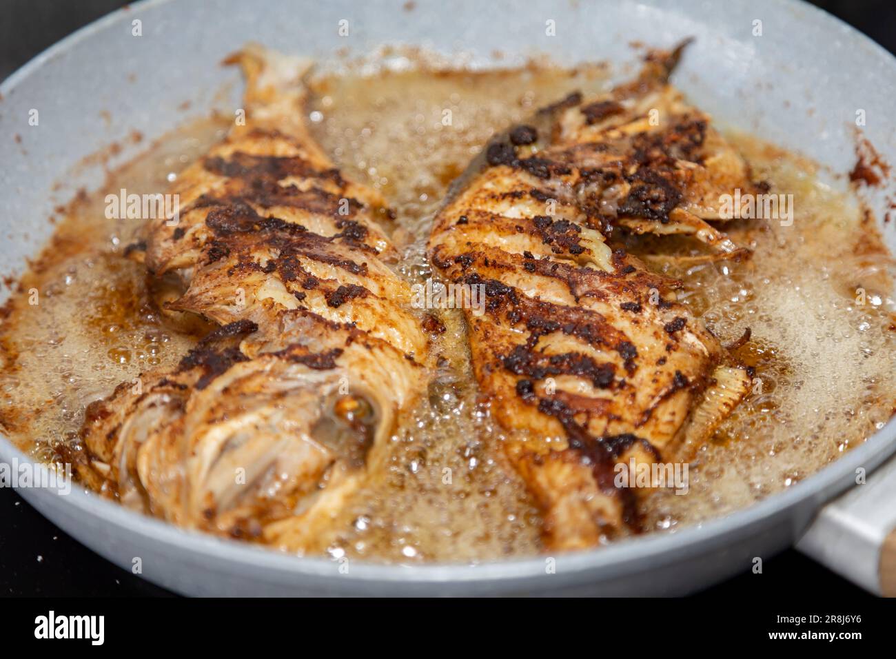 Clean and seasoned Peroá fish (Balistes capriscus) . Typical fish from ...