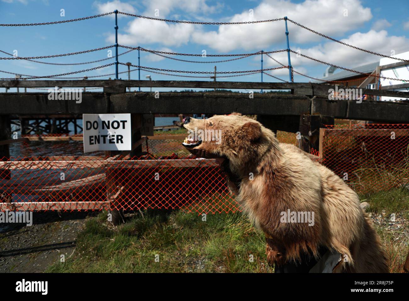 Victoria, Can. 21st June, 2023. A woman wears grizzly bear regalia ...