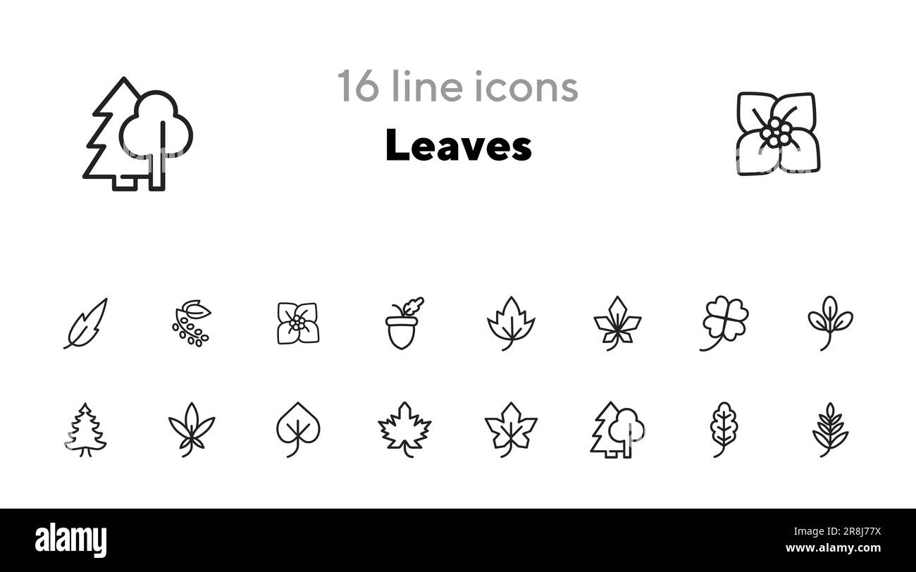 Season leaves Black and White Stock Photos & Images - Alamy