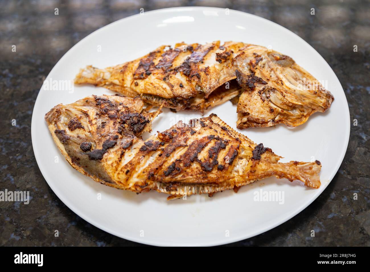 Clean and seasoned Peroá fish (Balistes capriscus) . Typical fish from ...