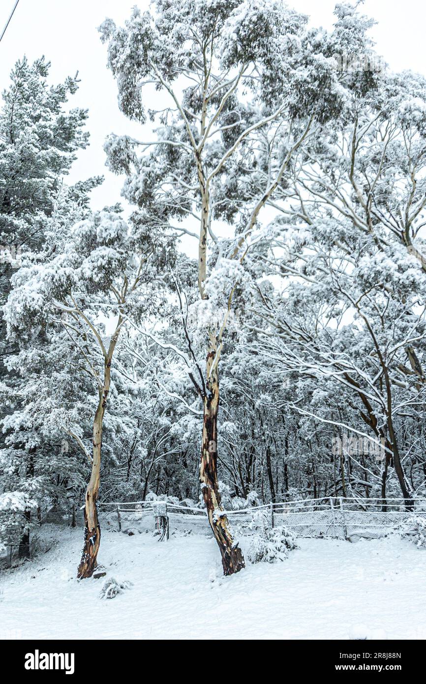 An aerial view of a wintery setting featuring a wooden fence and pole ...