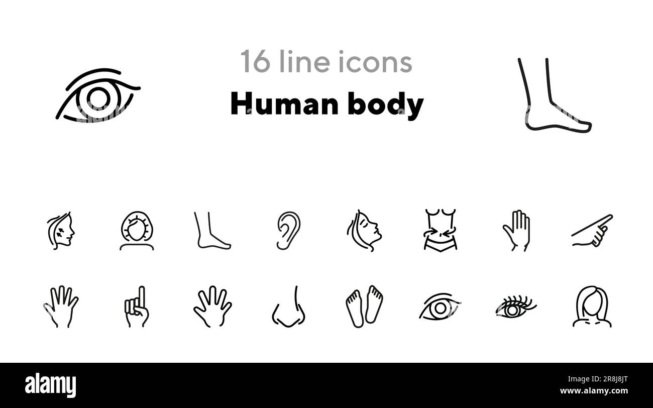 Human body line icon set Stock Vector Image & Art - Alamy