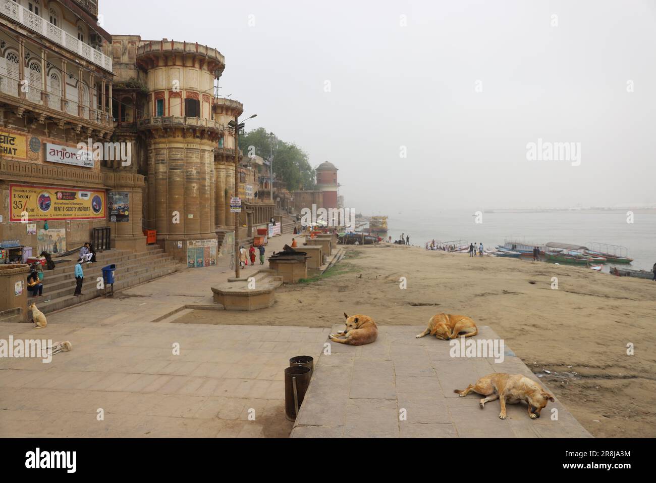 Varanasi - The Sacred City of India Stock Photo - Alamy
