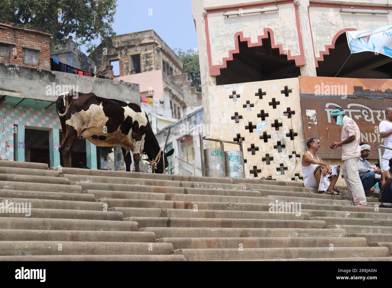 Varanasi - The Sacred City of India Stock Photo - Alamy