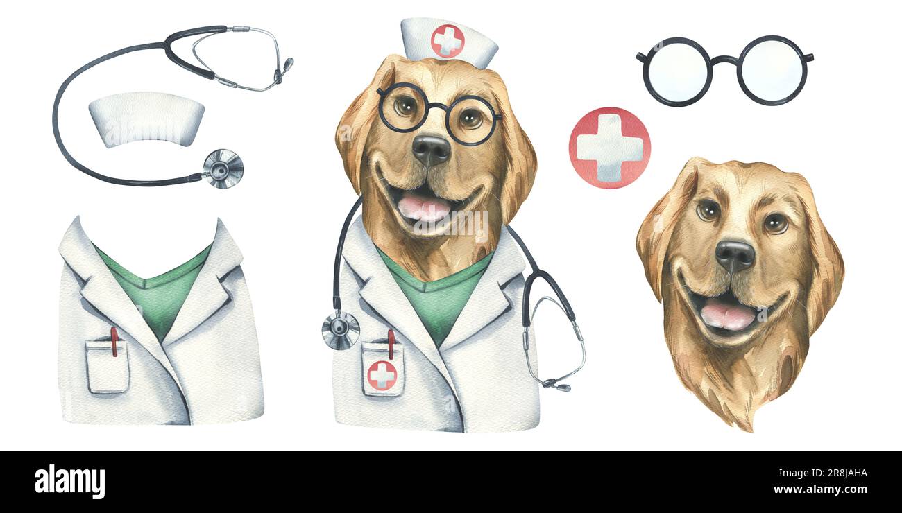 Portrait of a golden retriever dog in a doctor's costume. Watercolor ...
